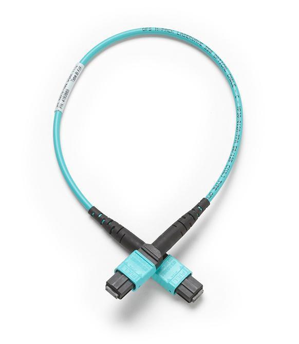 FLUKE NETWORKS 0,3m Test Cord MPO/MPO, | FIFO Network ApS